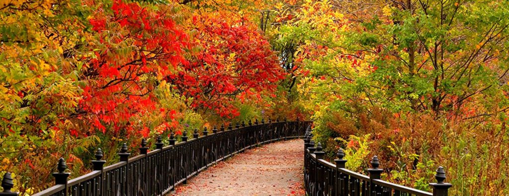 Vuelos a Montreal desde Costa Rica - Explorador de Viajes